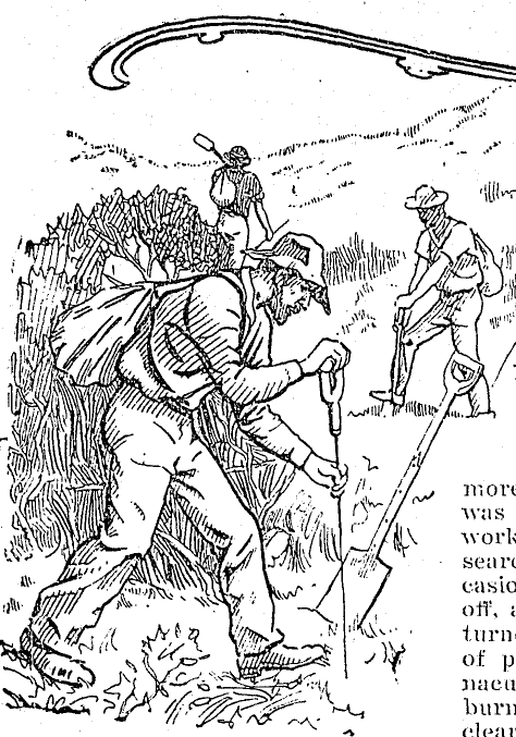 Part of the Past NZ History: Kauri Gum - the industry and the ...