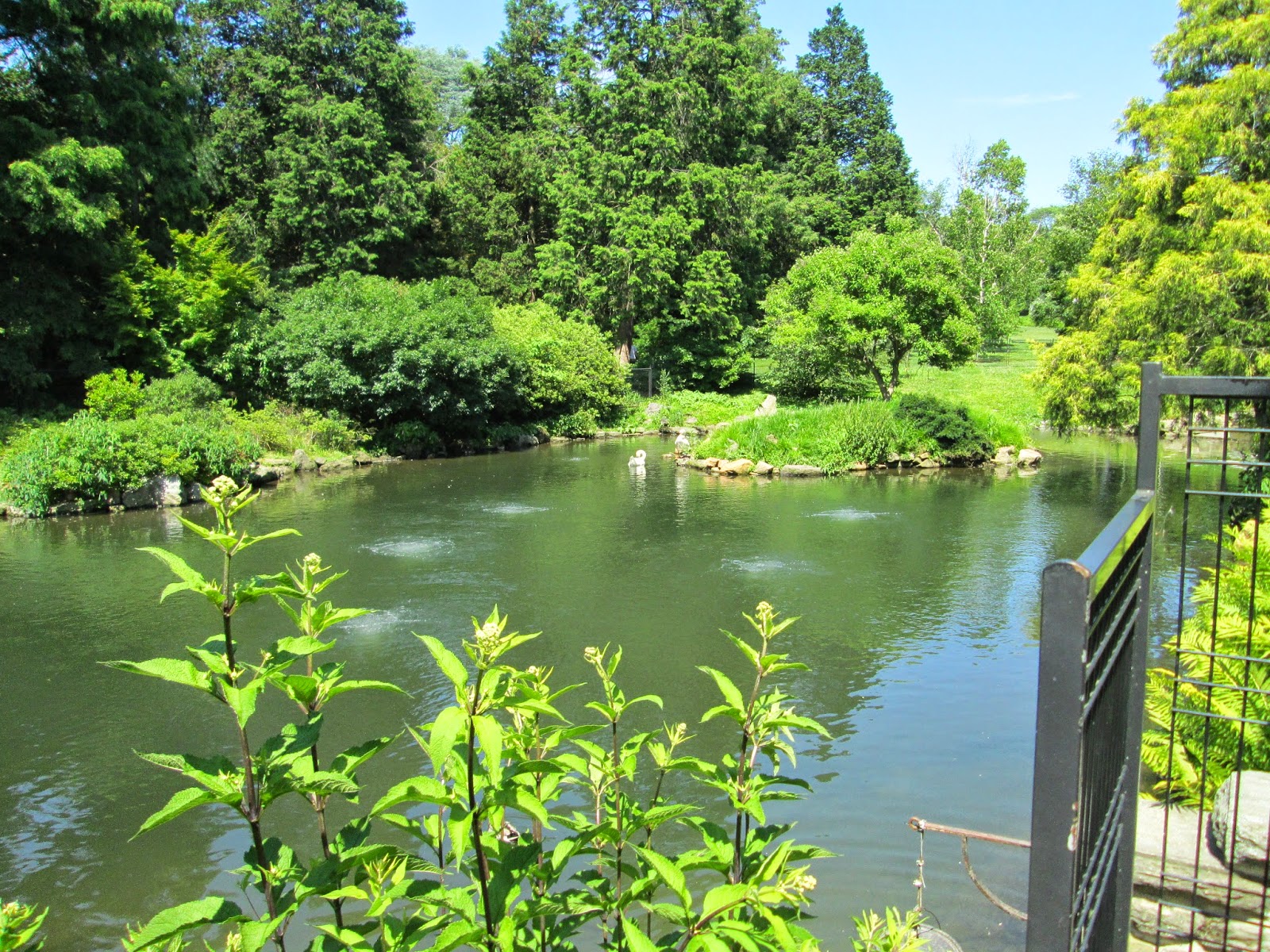 The Belle of Cowbell: The Bipolar Therapist from Willow Grove, PA: I ...