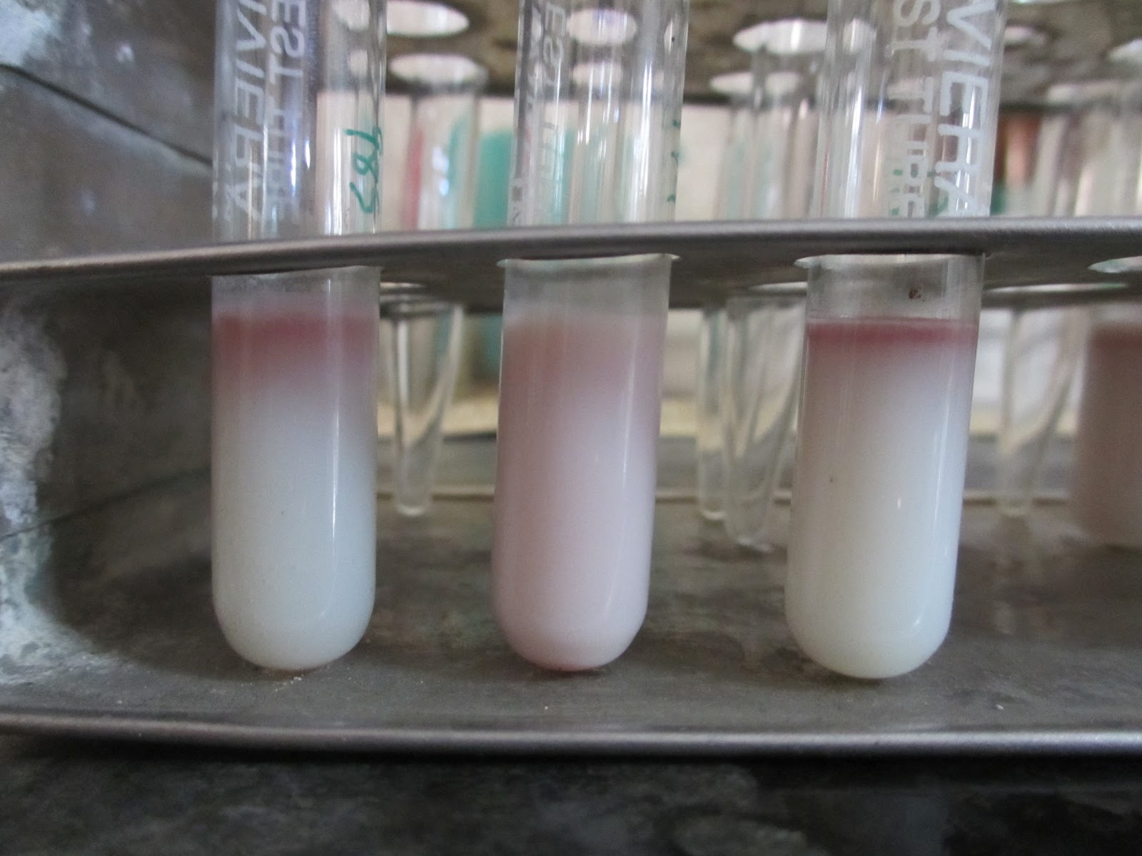 India Ink: Another Lab Week