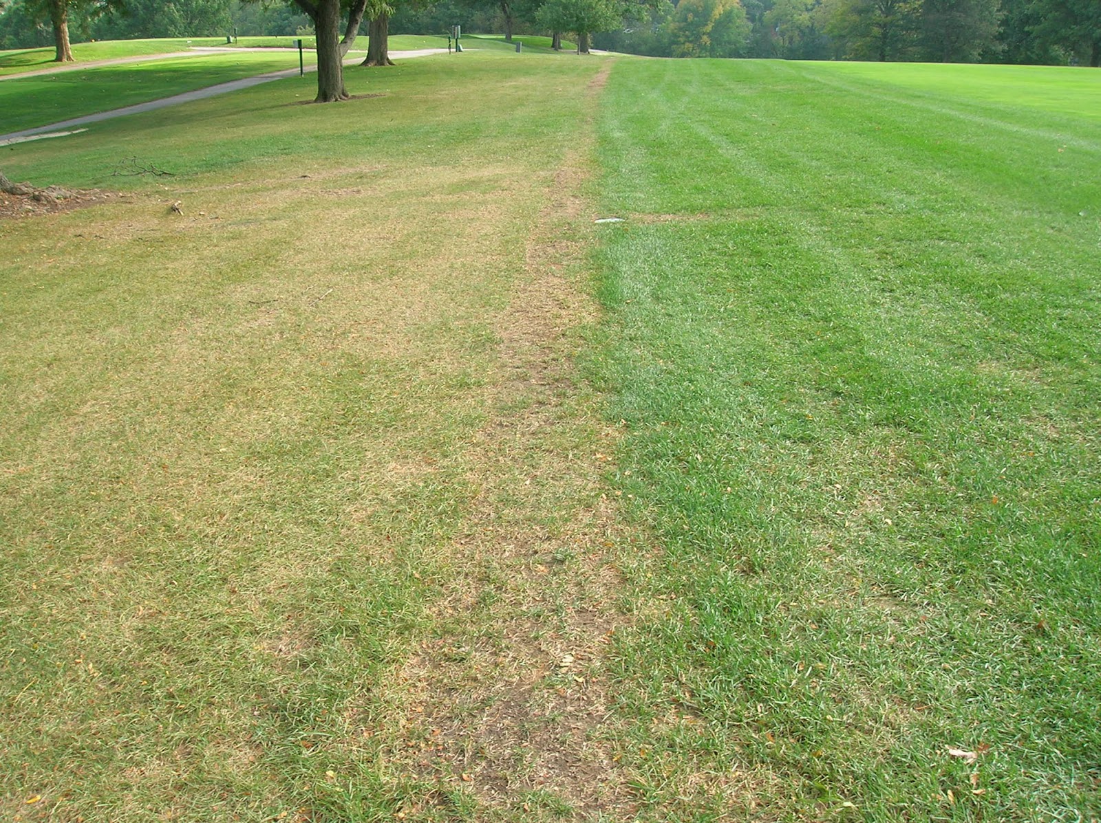 Country Club of Peoria Golf Maintenance: Is There Really a Root to the ...