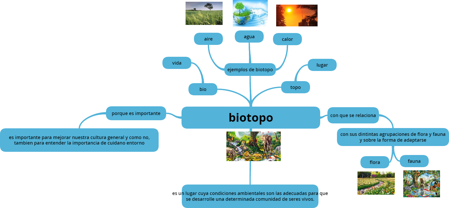 Ecologia : TAREA#3 mapa mental de biotopo