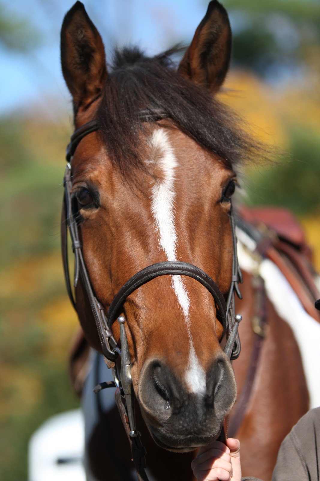 Dynamite Specialty Products: Products