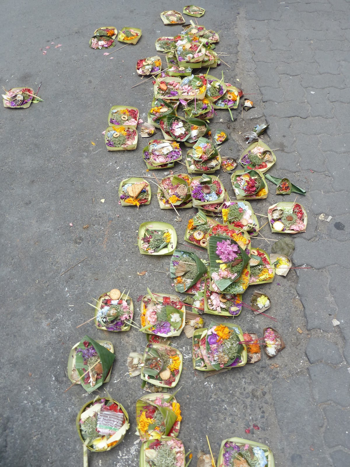 Alex around the world: 2012