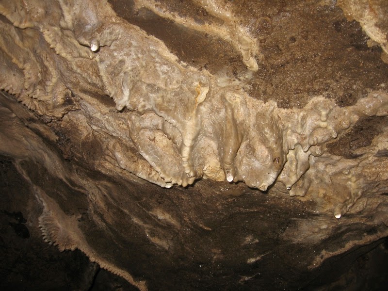 Tangled Web: Ontario's Largest Natural Cavern