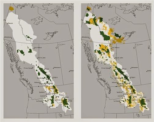 Bow River Shuttles: Y2Y joint initiative marks 20th anniversary