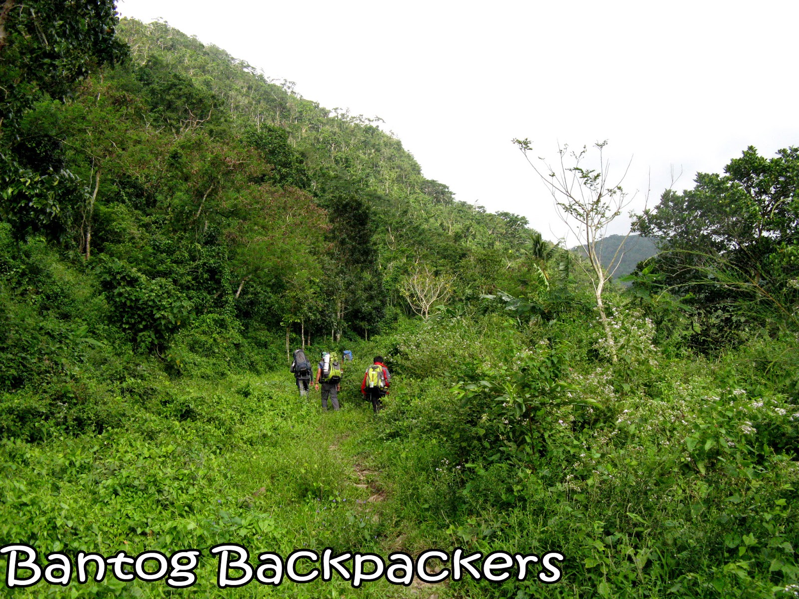 Malarayat Ranges : Mount Susong Dalaga, Mount Malipunyo (1,005 MASL ...