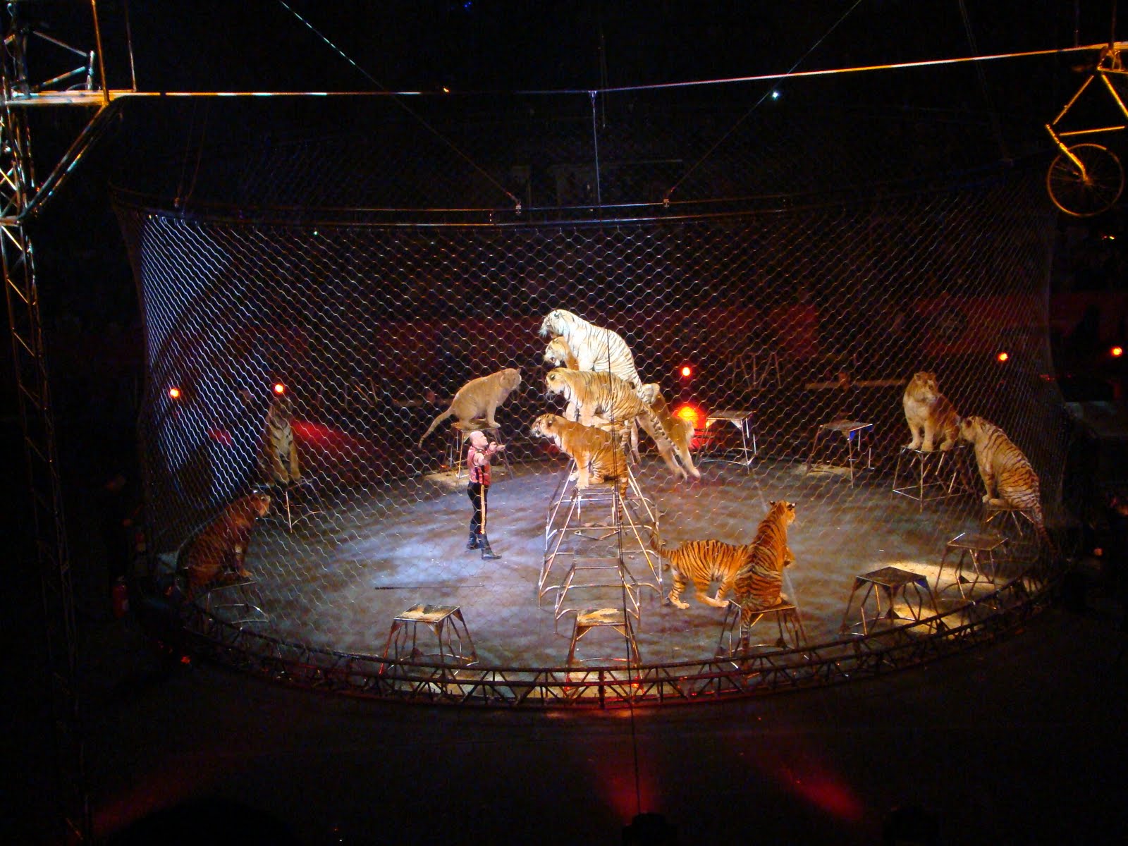 The Holladay Family: Ringling Brothers Circus