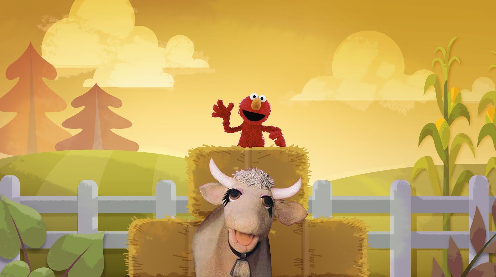 Paws As Hands: September 2012