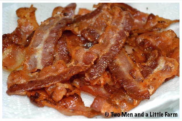 Two Men and a Little Farm: BACON SEEDS