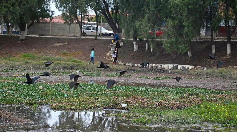 ASOCIACION ECOLOGISTA RIO MOCORETA: LAGUNA QUENAMARI EN COCHABAMBA