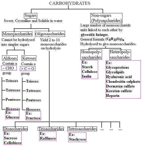 CHEM BRAINS: Biomolecules Five Marks