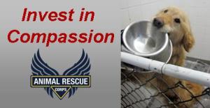 A Day in the Life...