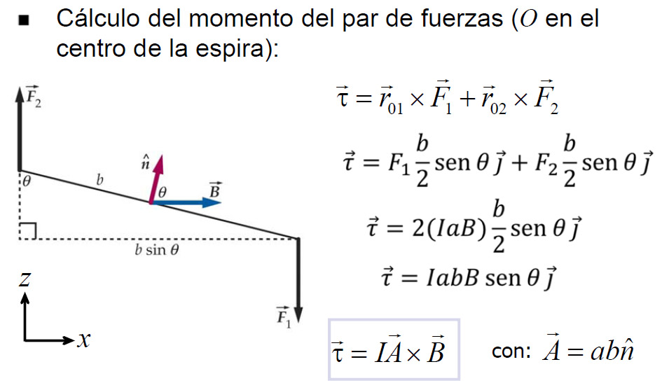 EL FÍSICO LOCO: Fuerza y momento sobre una espira