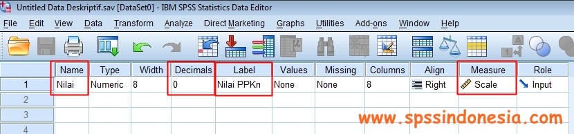 Cara Melakukan Uji Statistik Deskriptif dengan Software SPSS - SPSS ...