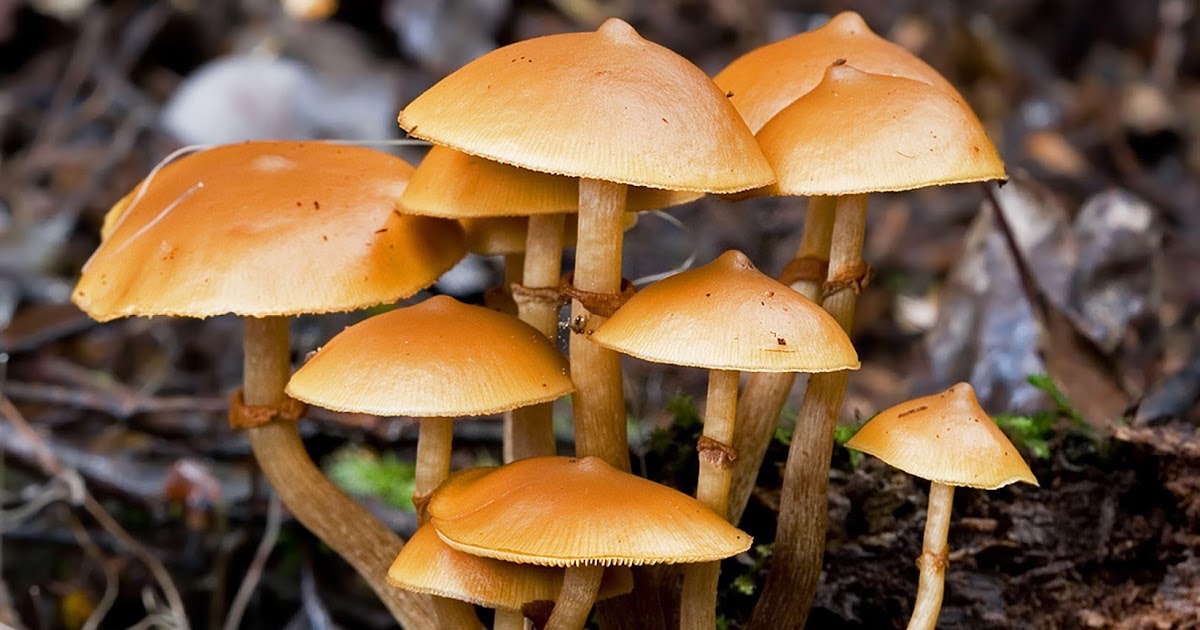 RINCON DE LA CIENCIA