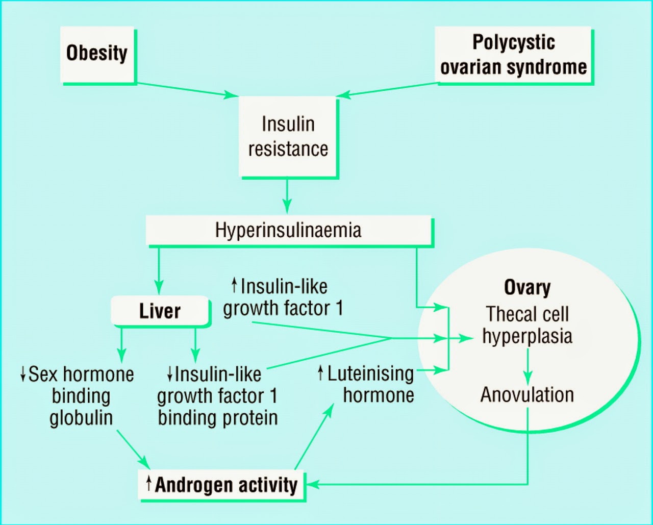 My Jewels, My Strength: PCOS Punca Utama Masalah Kesuburan