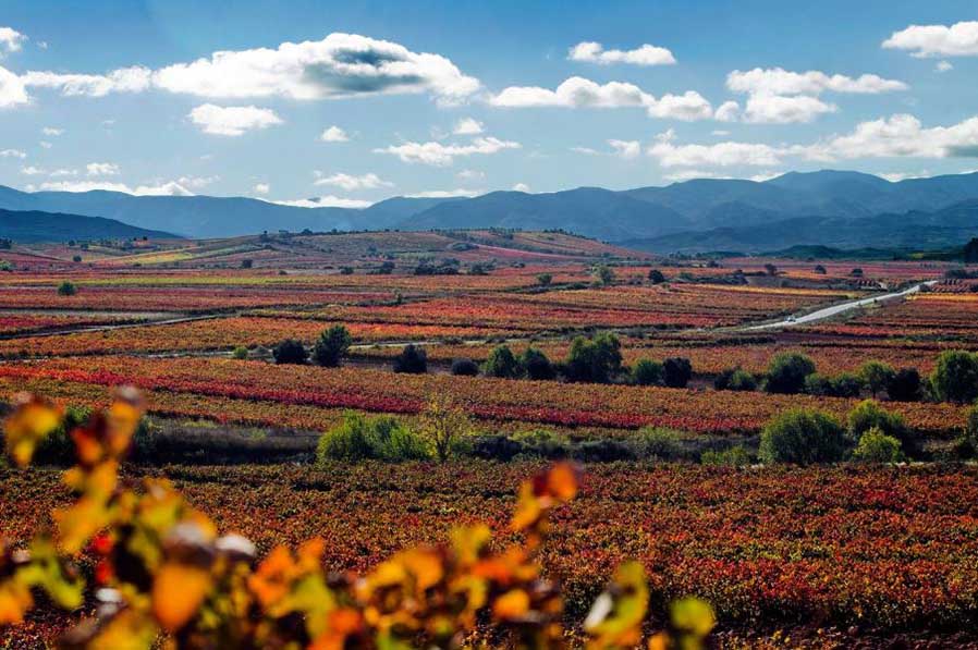 El blog del gran Uribe: Comienza el otoño