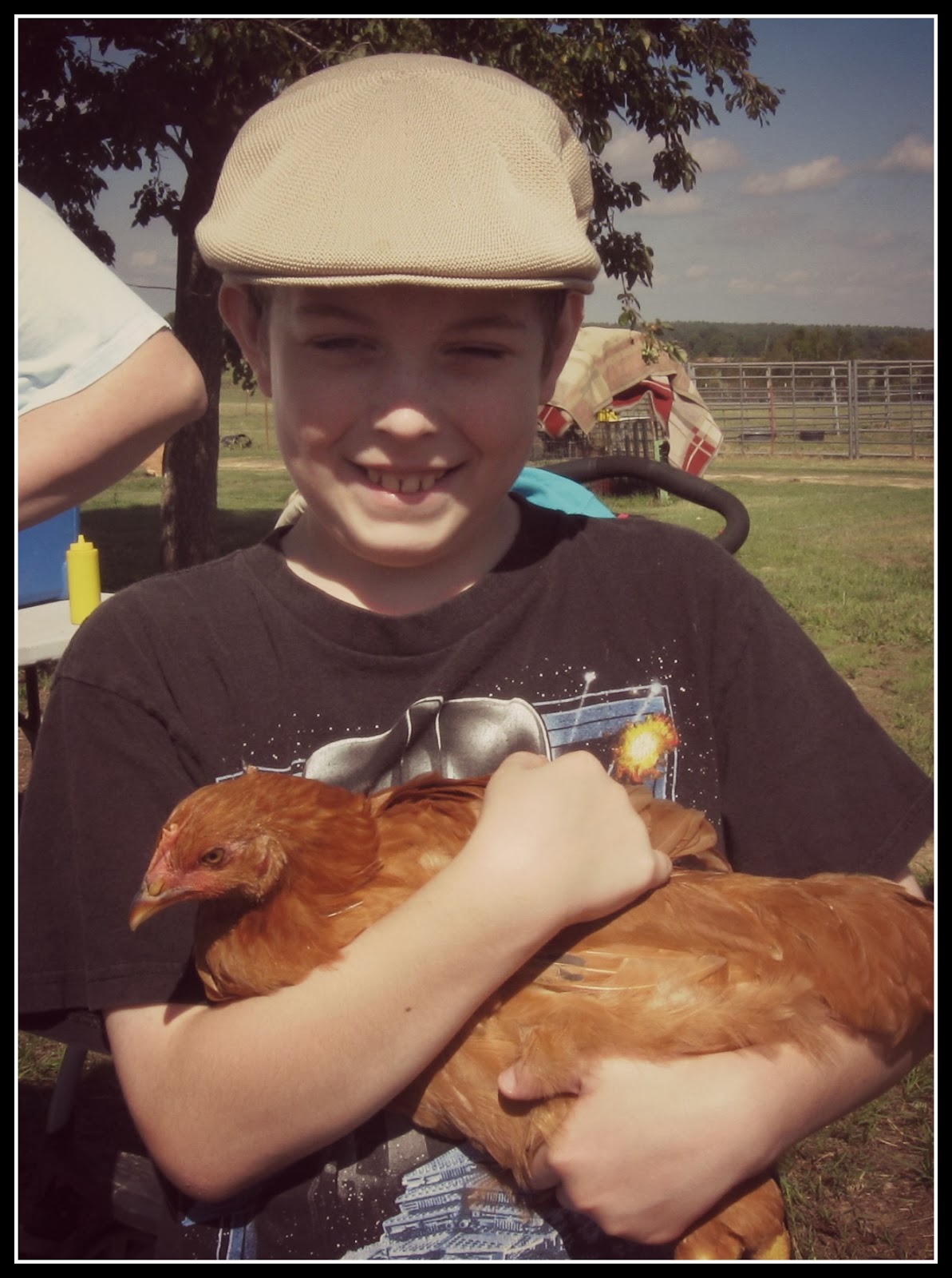 Look At What You Are Seeing: Fun on the Farm