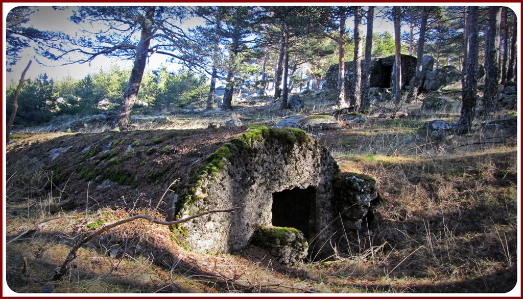 Leon Bunker's Instagram, Twitter & Facebook on IDCrawl