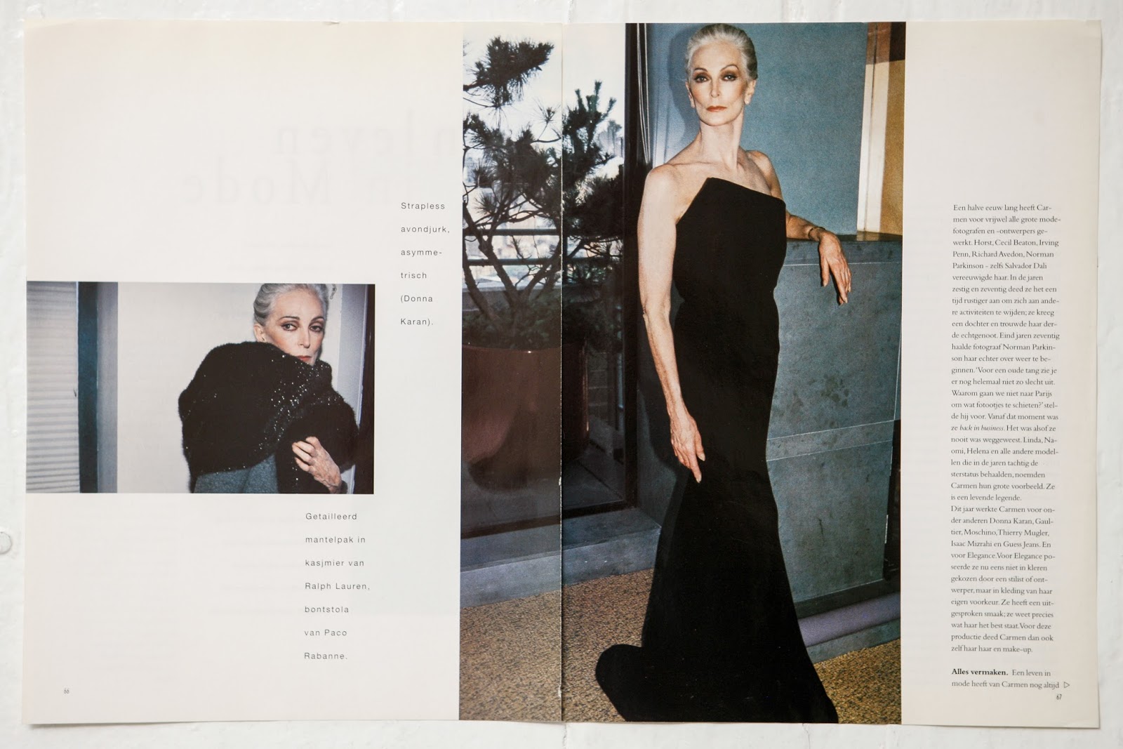 marcelo krasilcic: CARMEN DELL'OREFICE