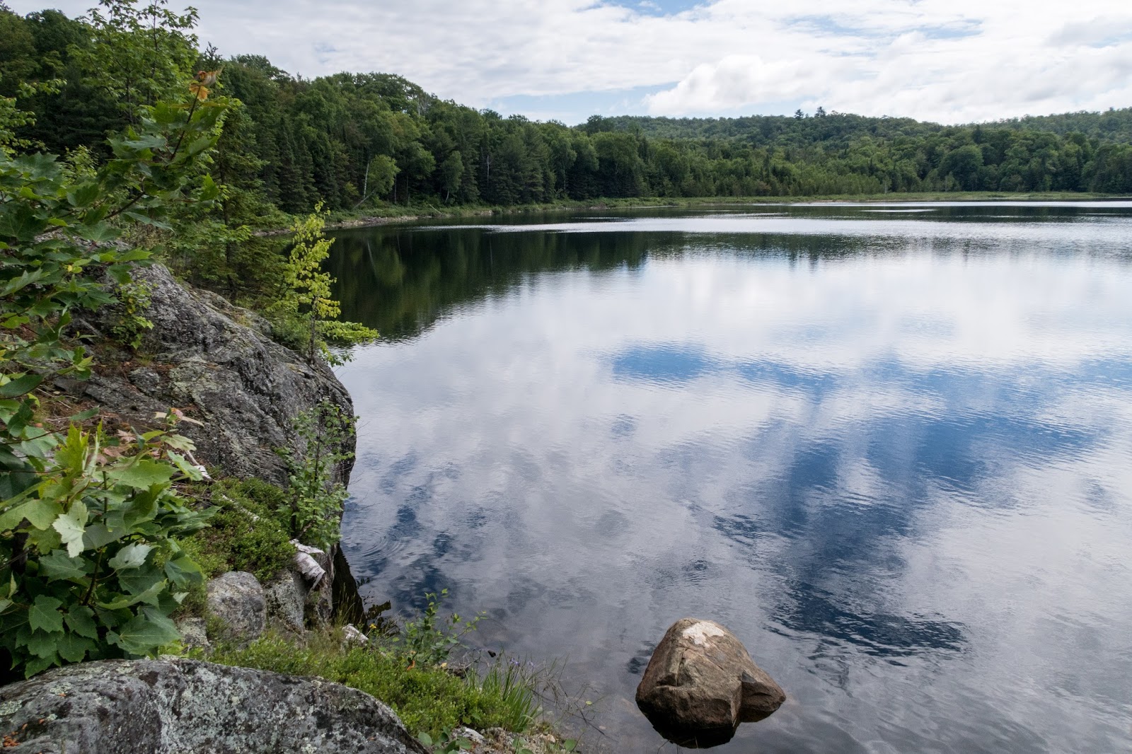 Eric's Hikes: Voyageur Trail: Harmony and Stokely Trails