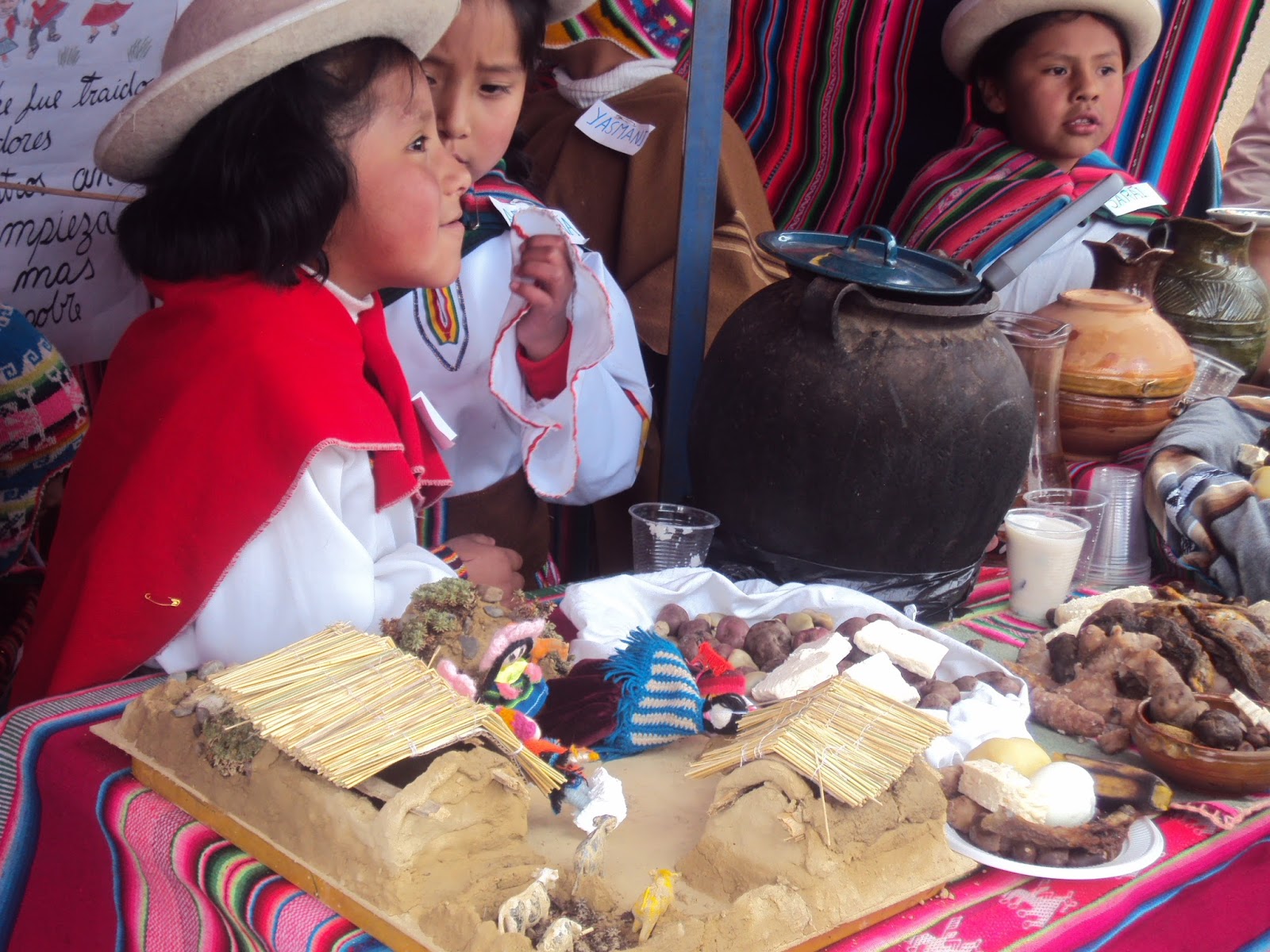 Kurmi Ajayu: LA VESTIMENTA Y TRADICIÓN AYMARA (FOTOS)