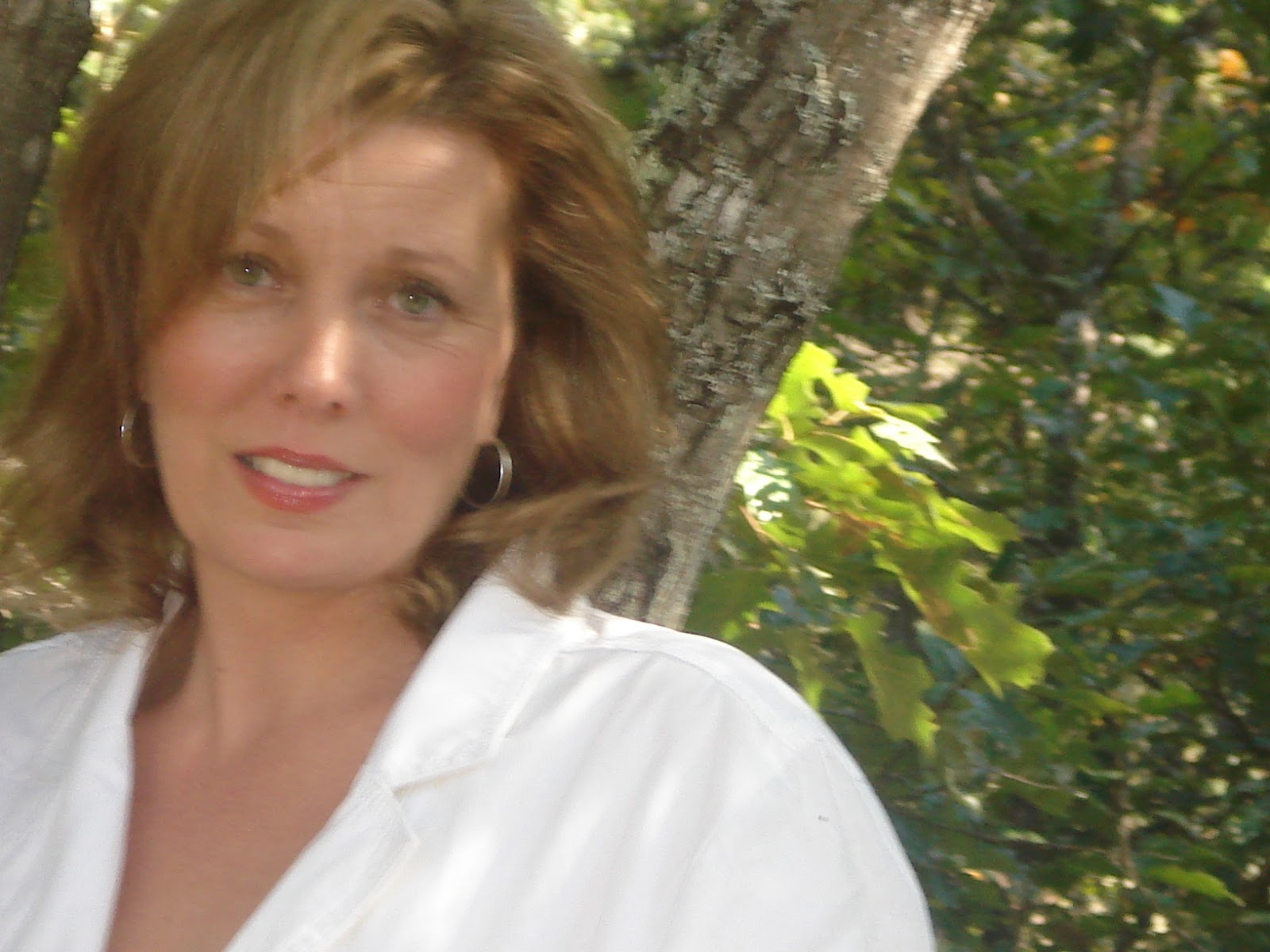 Write Wild: HIGH FIVE #16: Brenda Reeves Sturgis and 10 Tips in the Road