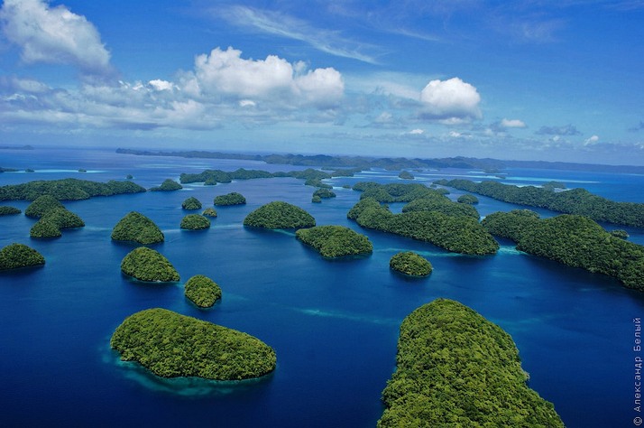 Beautiful Quaint Island Of Palau