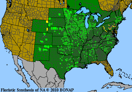Restoring The Landscape With Native Plants: Native Plant of the Week ...