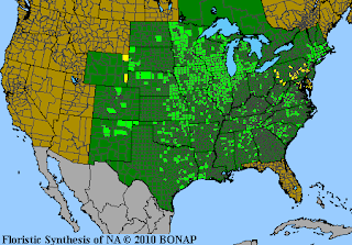 Restoring The Landscape With Native Plants: Native Plant of the Week ...