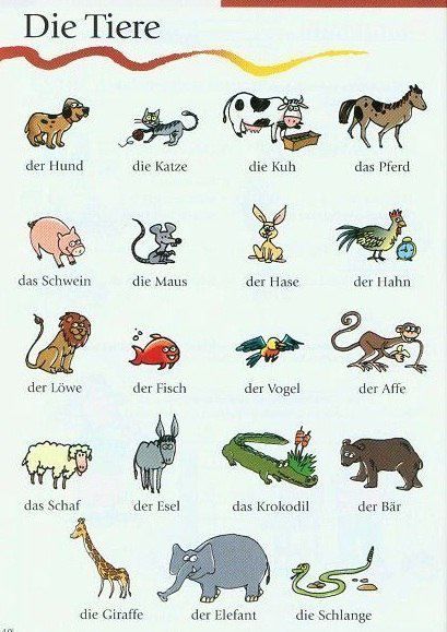 Deutsch Lernen Die Tiere - Für Kinder