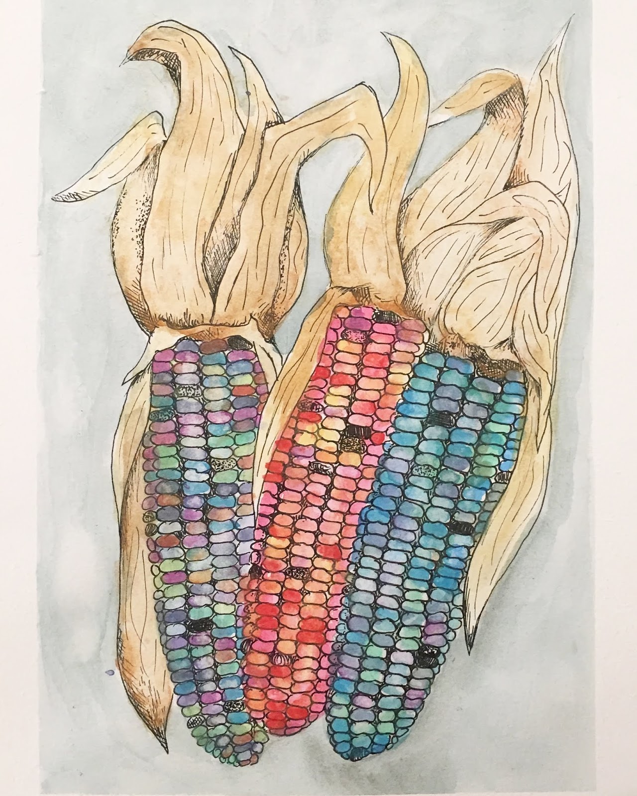 Art Room Britt: Indian Corn Pen and Watercolor Illustrations