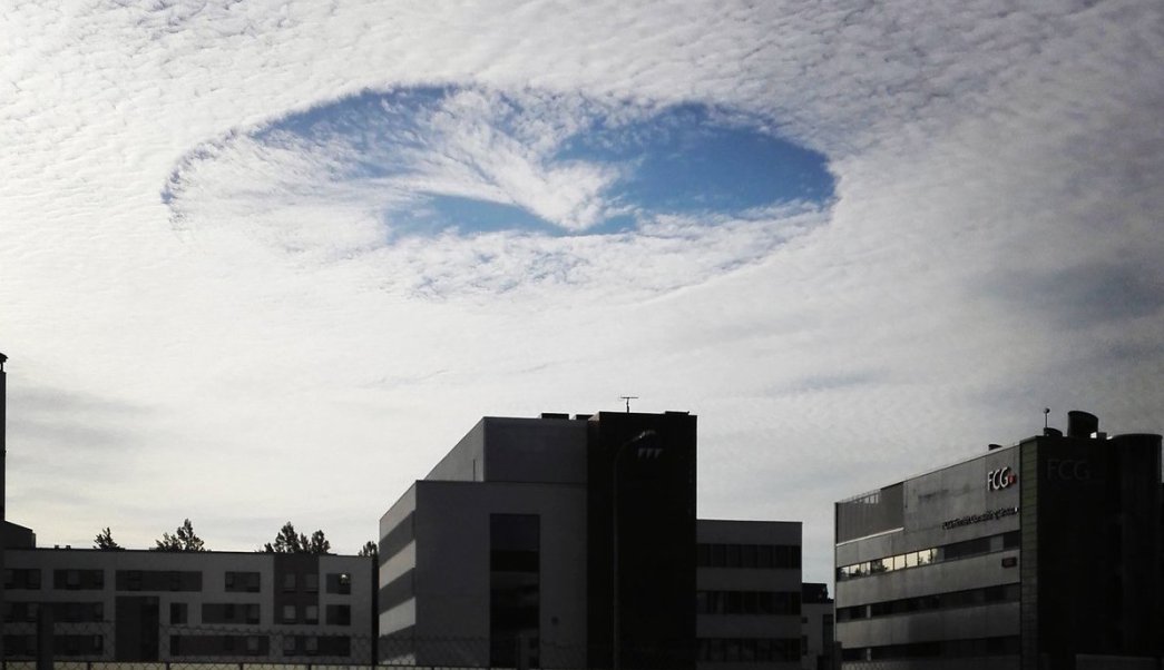 Sistema Vivo : Fenómeno skypunch