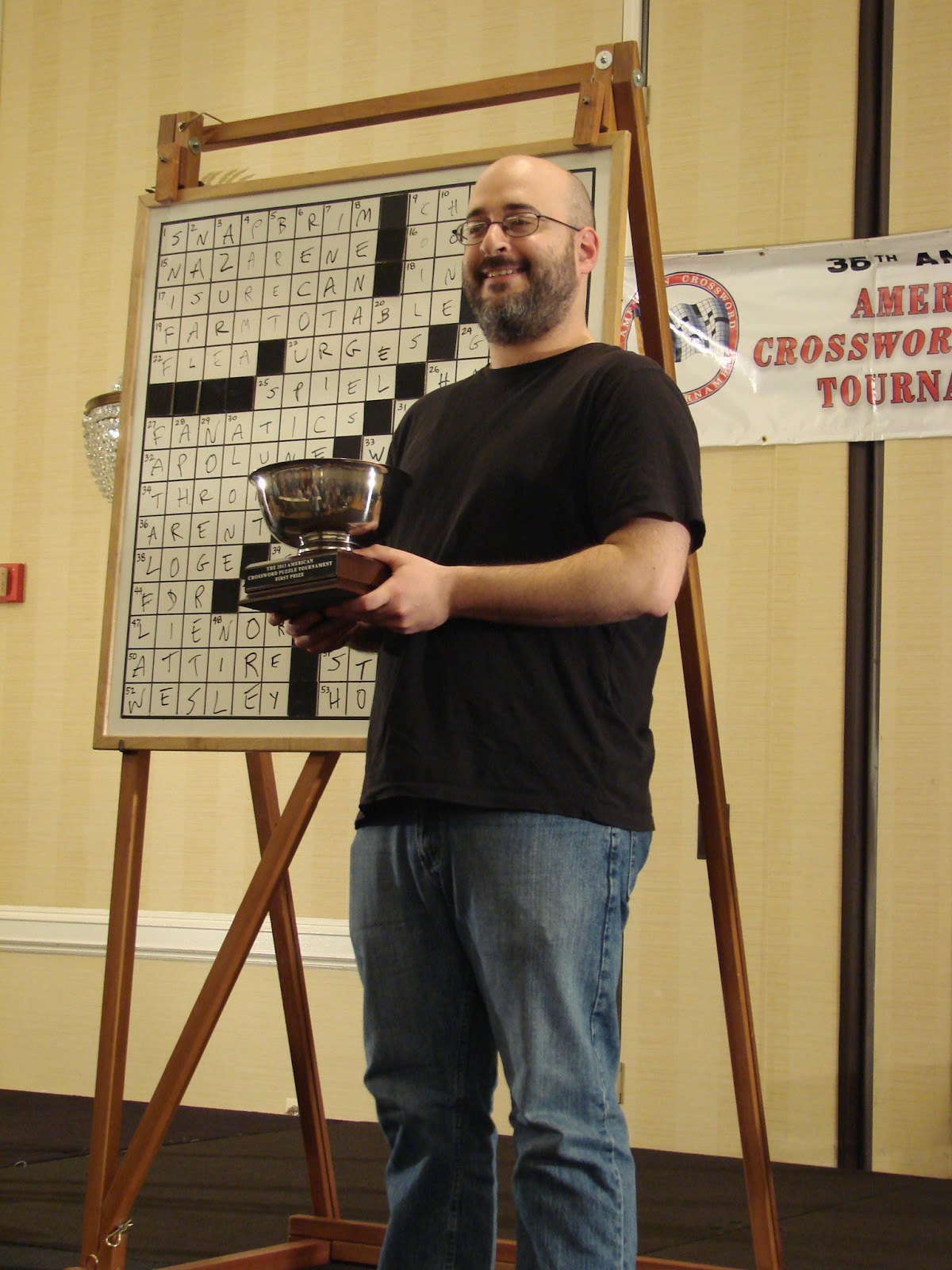 THE PUZZLE BROTHERS: FANTASTIC FEYER