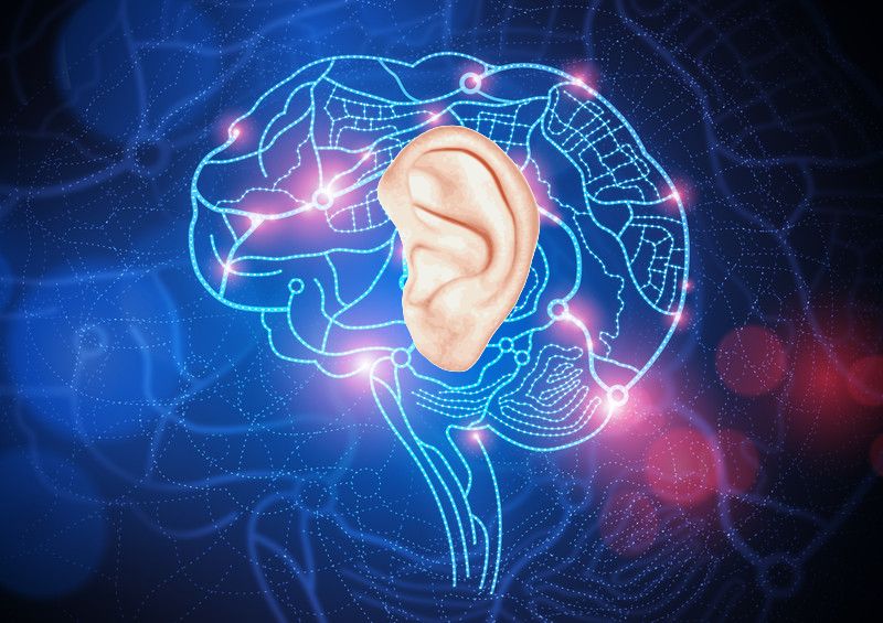 Lynn White, Focus Sessions: Intuitives, Psychic Awareness and Emotions ...