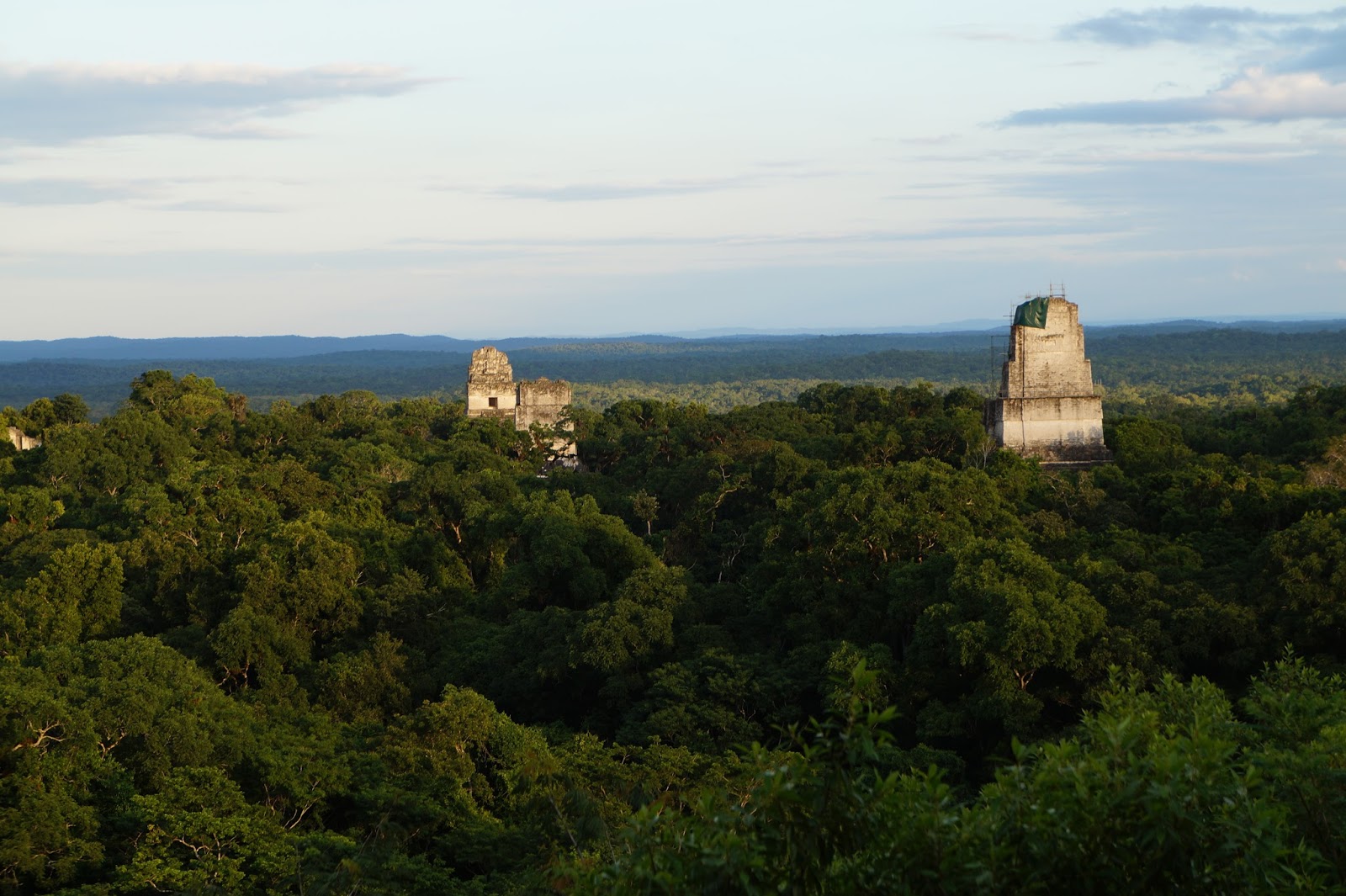 Iridule Imagined: Flores & Tikal: Jungle Pyramids