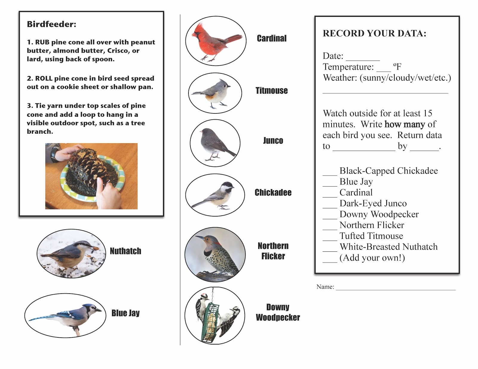 15 Minute Field Trips: Bird Feeders and Winter Bird Count