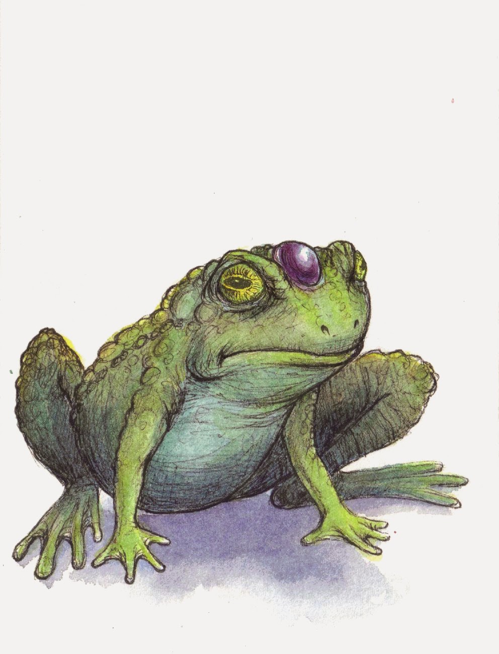 Beemonster Illustration: Mythical Herpetology