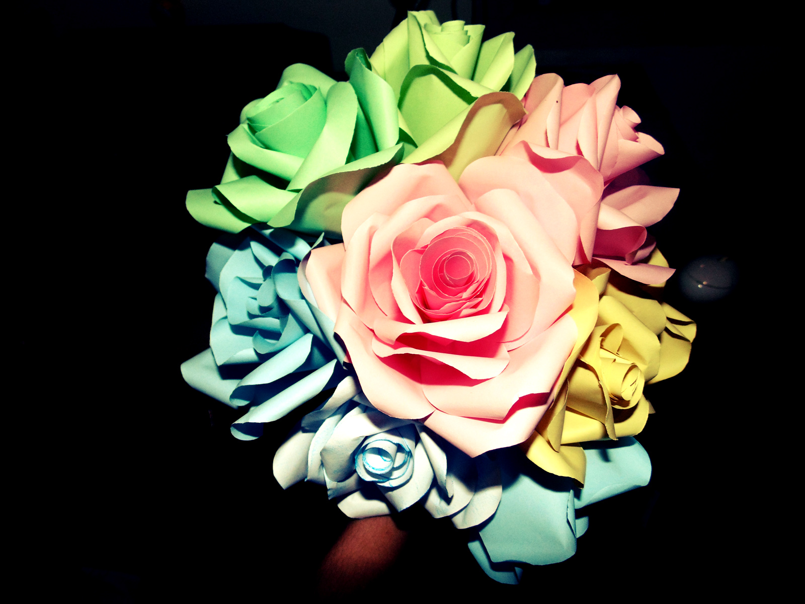 Gambar Bunga Mawar Di Kertas - GAMBAR BUNGA MAWAR