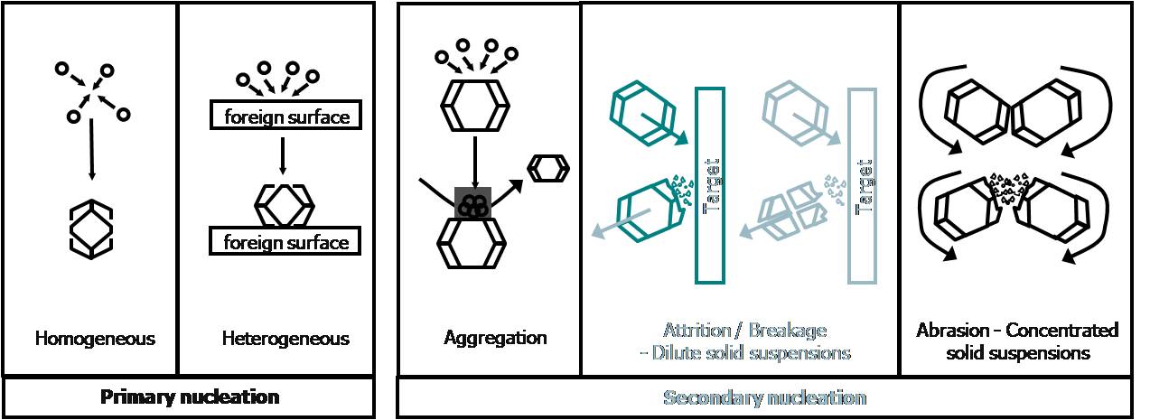 Perspectives of a Young Scientist: Under the Hood: Nucleation