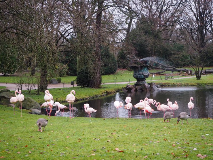 Tierpark Hagenbeck - Hamburg Zoo And Tropical Aquarium Review - The ...