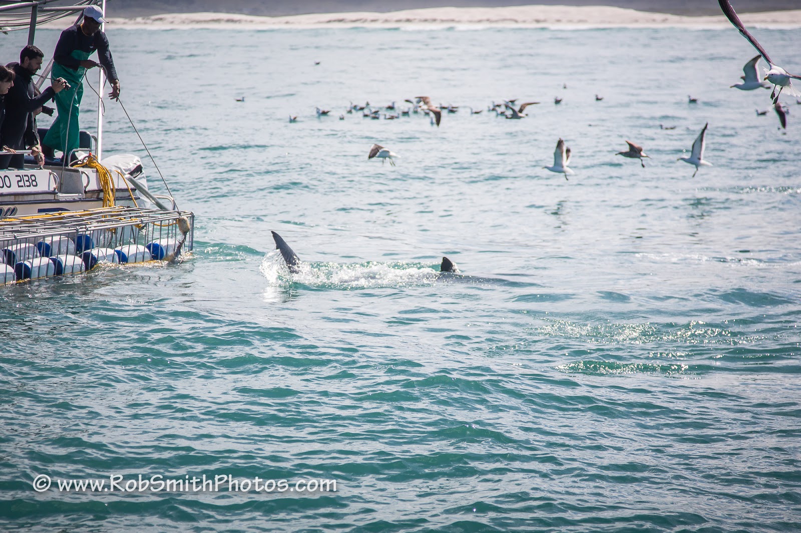 Rob Smith Photography