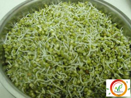 Preethi's Vegetable Plate: Sprout Green Gram
