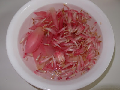 Xing Fu: SOMETHING WONDERFUL ABOUT BUNGA KANTAN