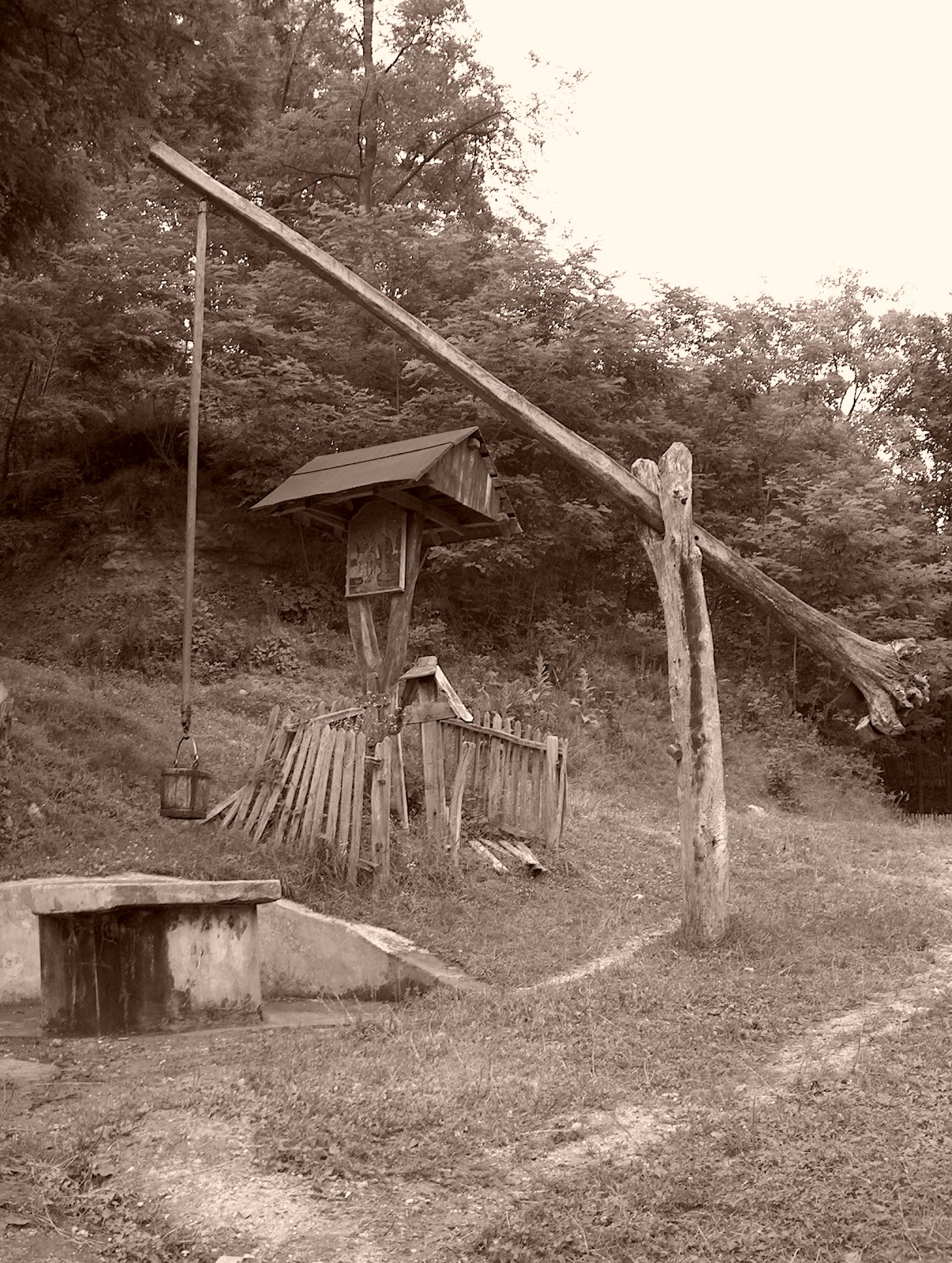 Biblioteca „General Nicolae Ciobanu” Costeşti Vâlcea: Informaţii despre ...