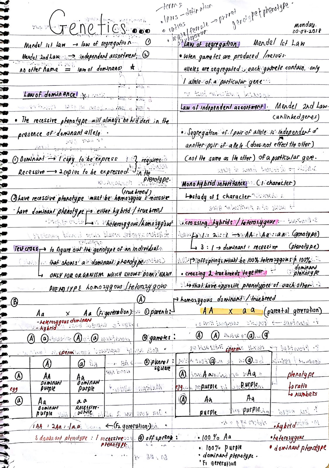 Biology Notes Semester 2 (MINE) for MUFY