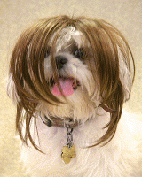 Kuweight 64: 2012-04-01