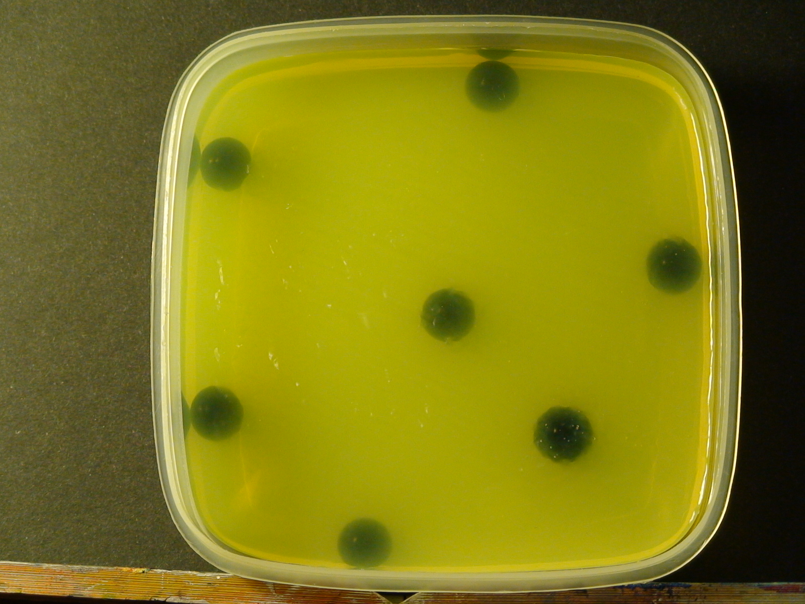 Manash (Subhaditya Edusoft): HISTORY OF CONCEPT OF THE ATOM AND ITS ...