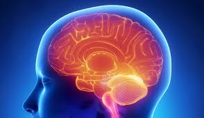 PEDIAMED: What are the Symptoms of Focal Onset Seizures in Children