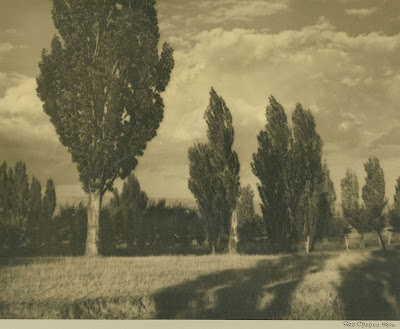 Early New Zealand Photographers: CHANCE, George